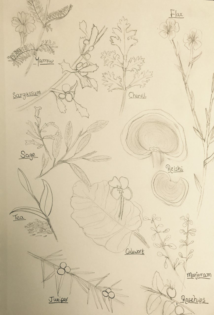 Artisanals Winners View – Lusternia