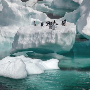 Lusternia – Lusternia, Age of Ascension, an Iron Realms Entertainment Game